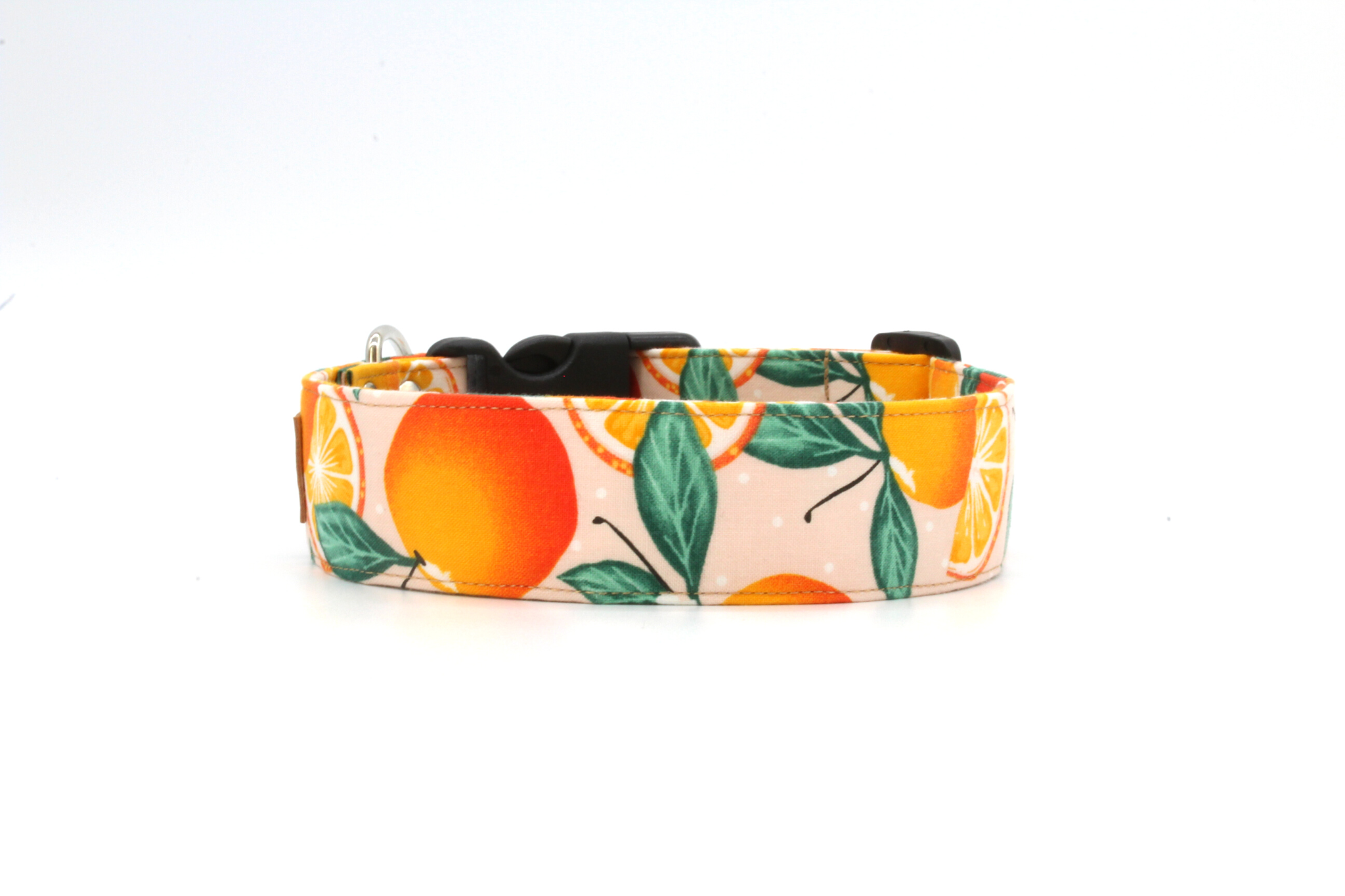Juicy orange dog collar - The Florida – Paper Chasing Collars